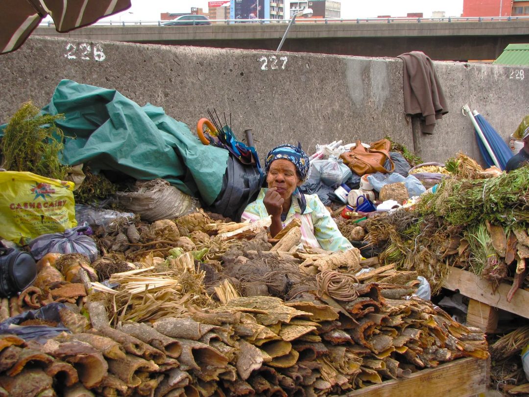 Durban Muthi Market - Love Durban